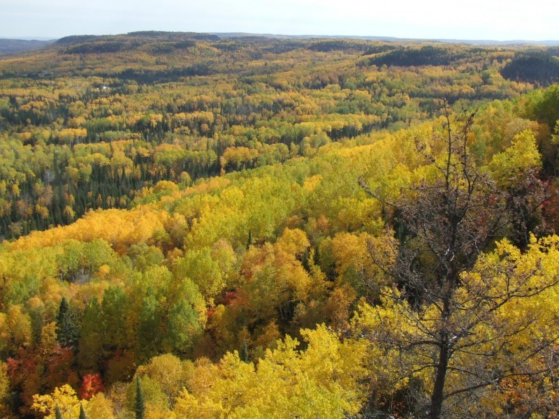 Municipality of Neebing | Heart of the Continent