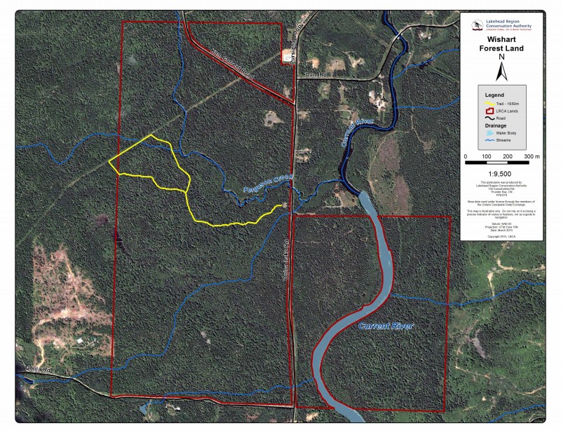 Wishart Forest | Heart of the Continent