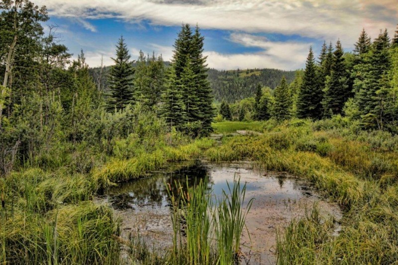 Beauvais Lake Provincial Park | Alberta, Canada | Crown of the ...