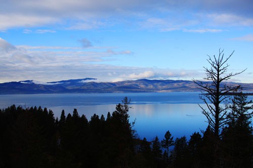 Flathead Lake Monster