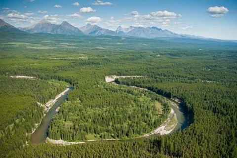 Transboundary Flathead Valley - Where the Wild Things Are | Montana ...