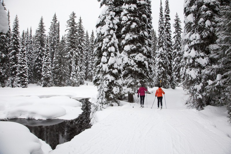 Fernie Nordic Trails | Fernie, British Columbia | Crown of the ...