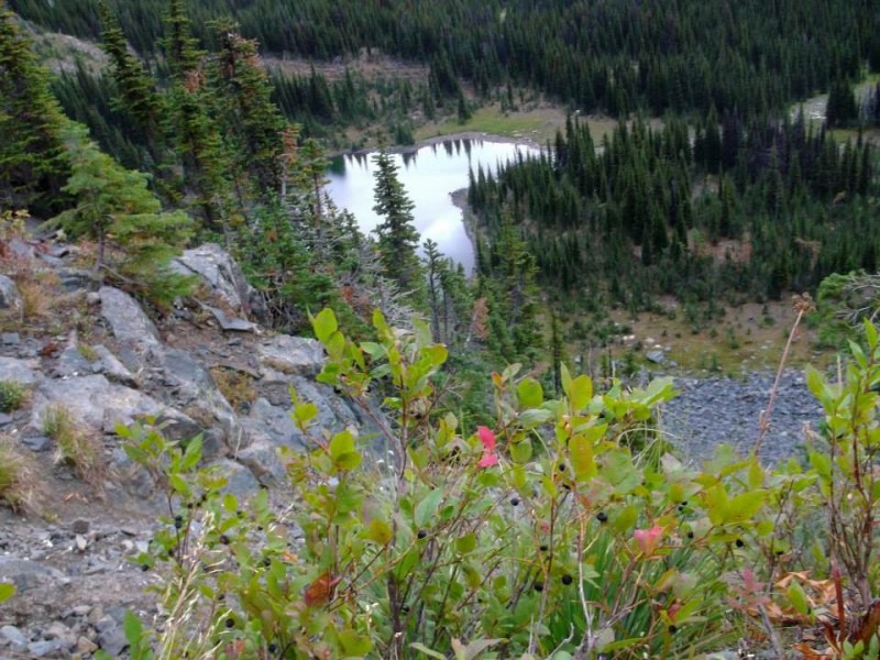 Bluebird Lake: Ten Lakes Scenic Area | Eureka, Montana | Crown of the ...