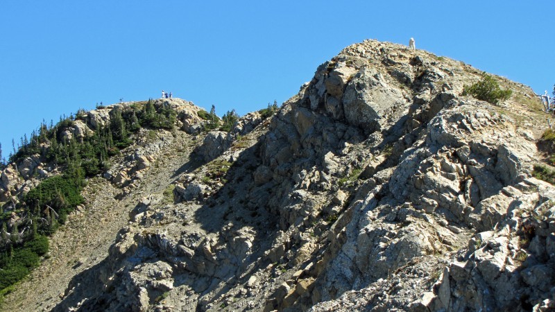 Mount Aeneas Trail #717 | Bigfork, Montana | Crown of the Continent ...