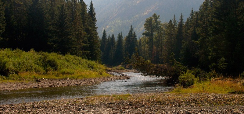 West Castle River Valley | Alberta, Canada | Crown of the Continent ...