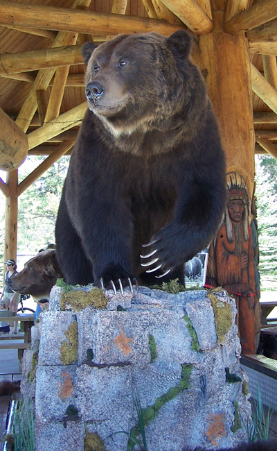 The Lincoln Grizzly | Lincoln, Montana | Crown of the Continent ...