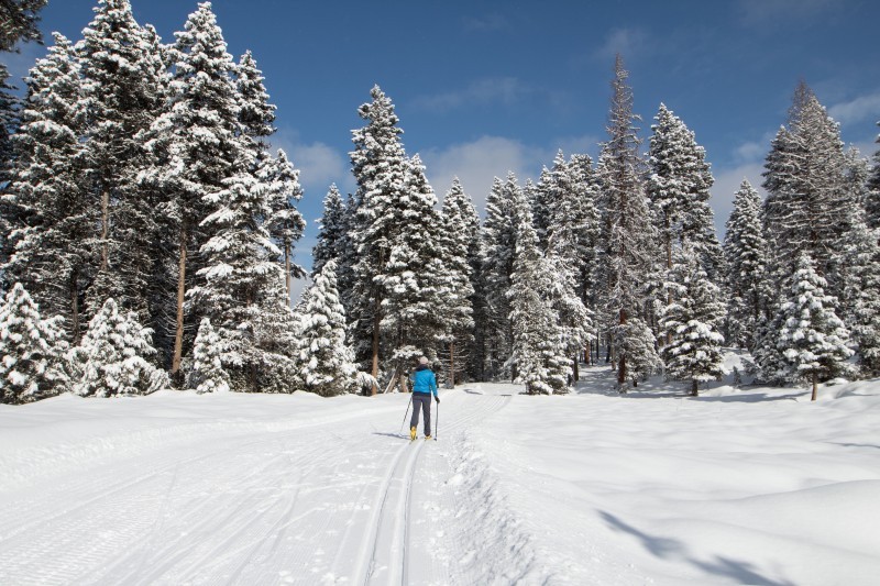 Seeley Lake Nordic Trails | Seeley Lake, Montana | Crown of the ...