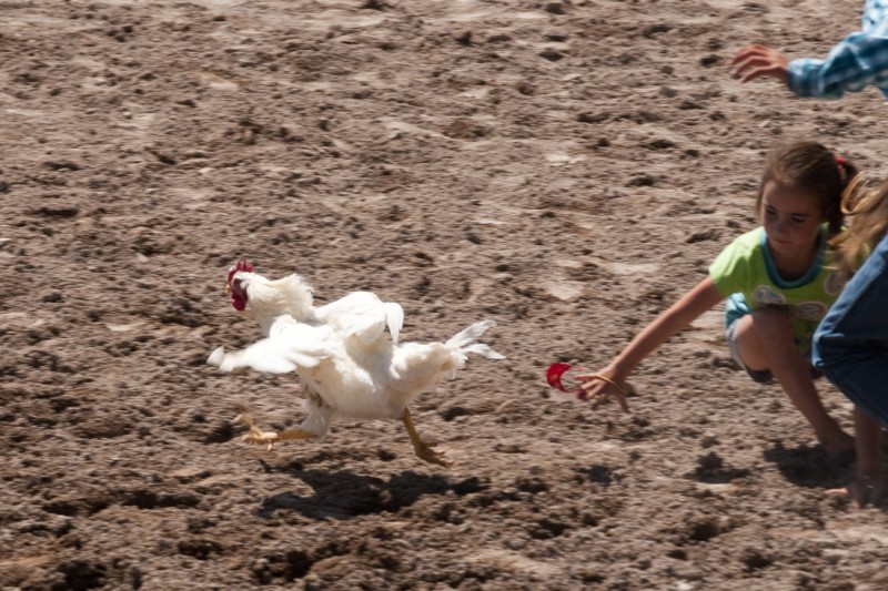 Lincoln Open Rodeo | Lincoln, Montana | Crown of the Continent Geotourism