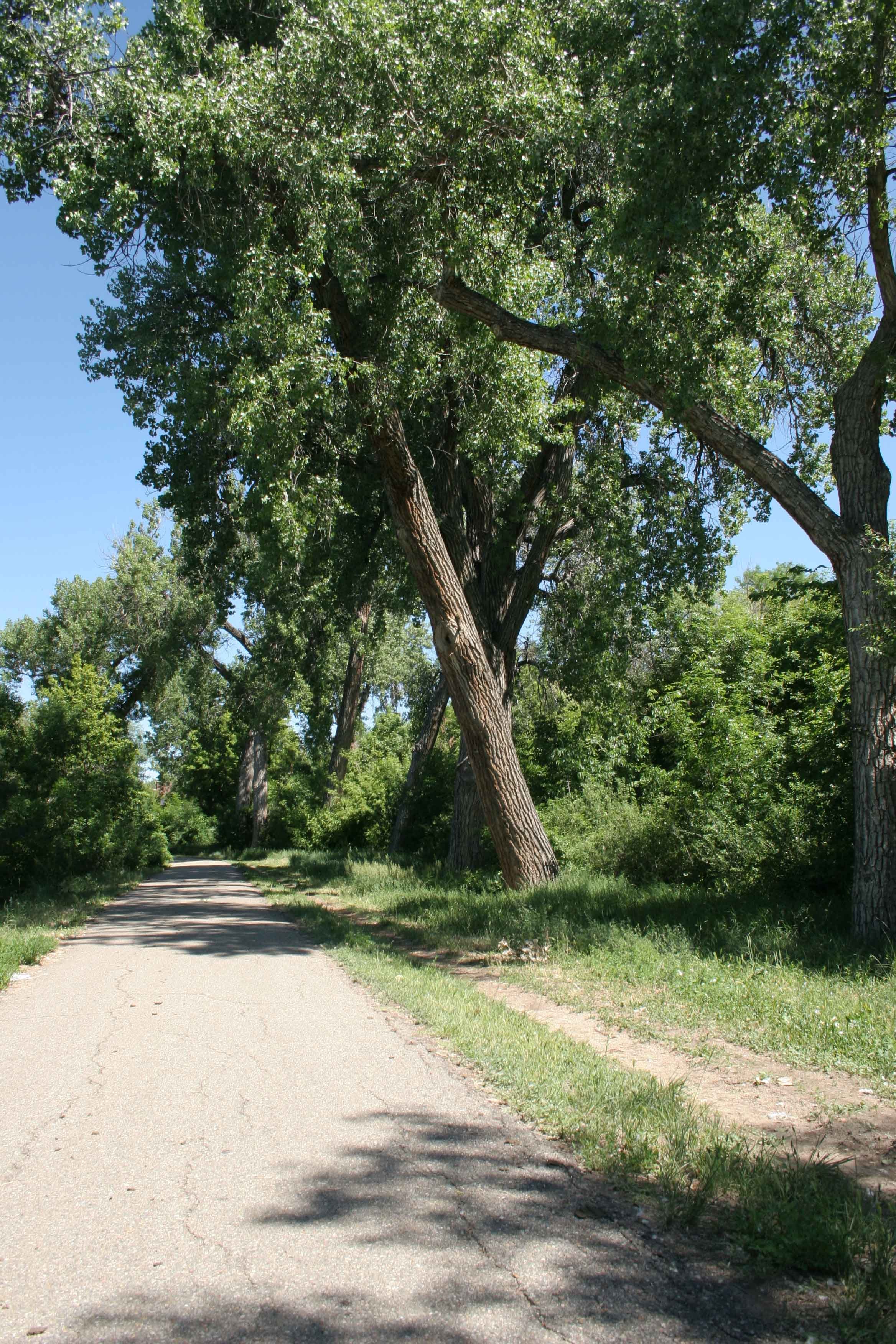Protect the High Line Canal | High Line Canal Trail Map