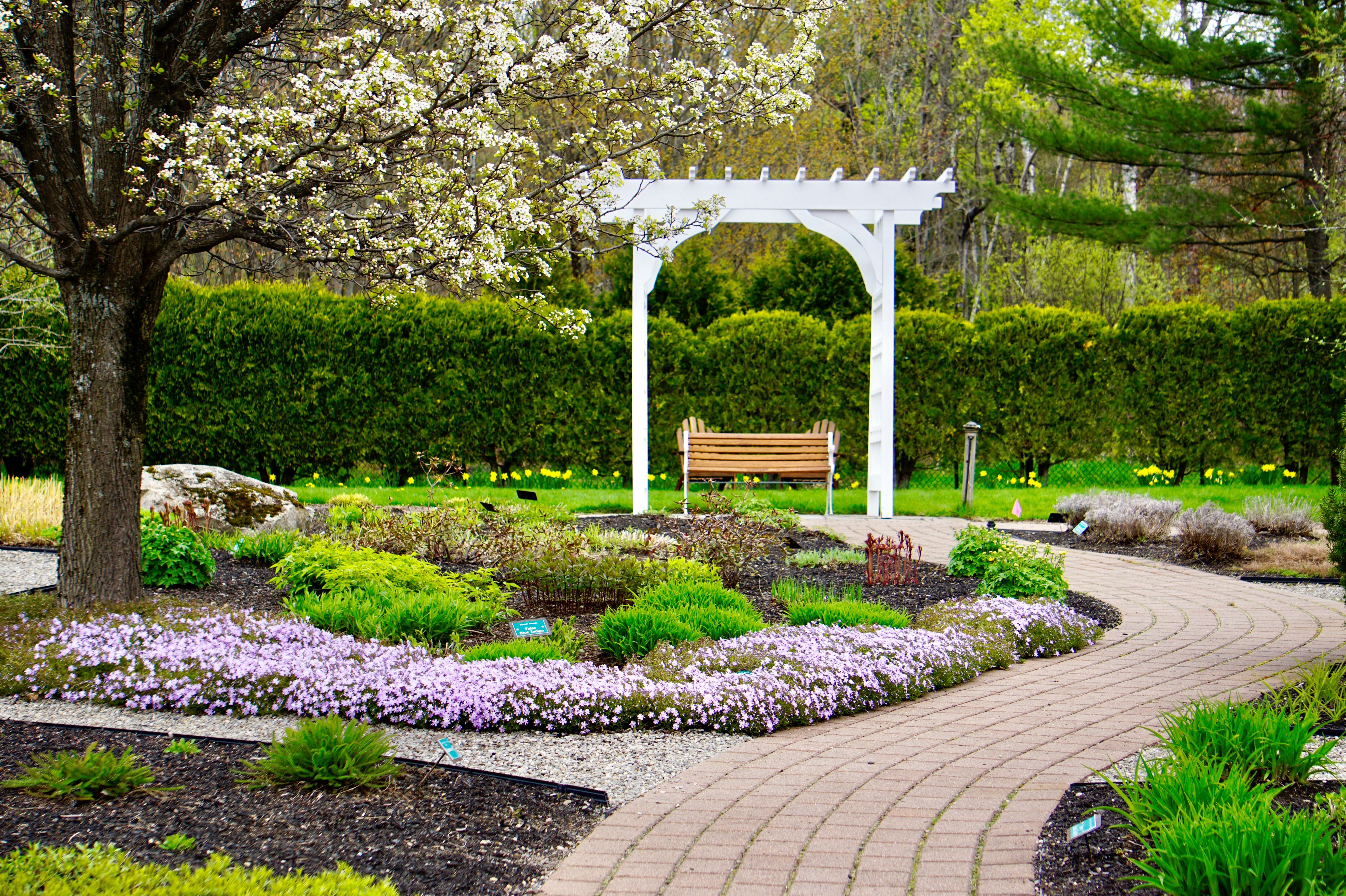 Afternoon Tea & Garden Tour - Visit Maine