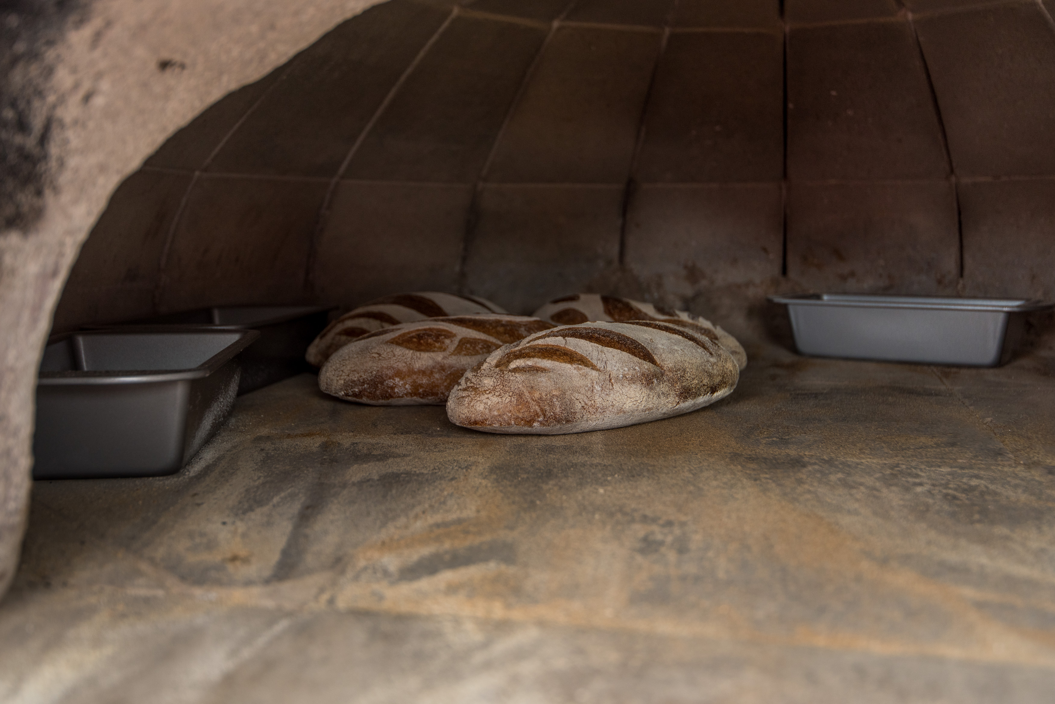 The Maine Artisan Bread Fair - Visit Maine