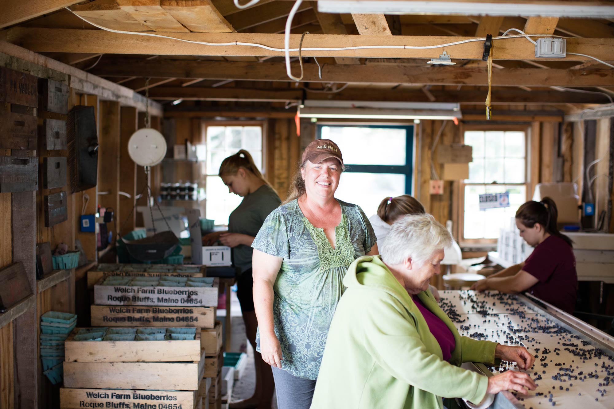Welch Farm Wild Blueberries and Cabin Rentals | Visit Maine