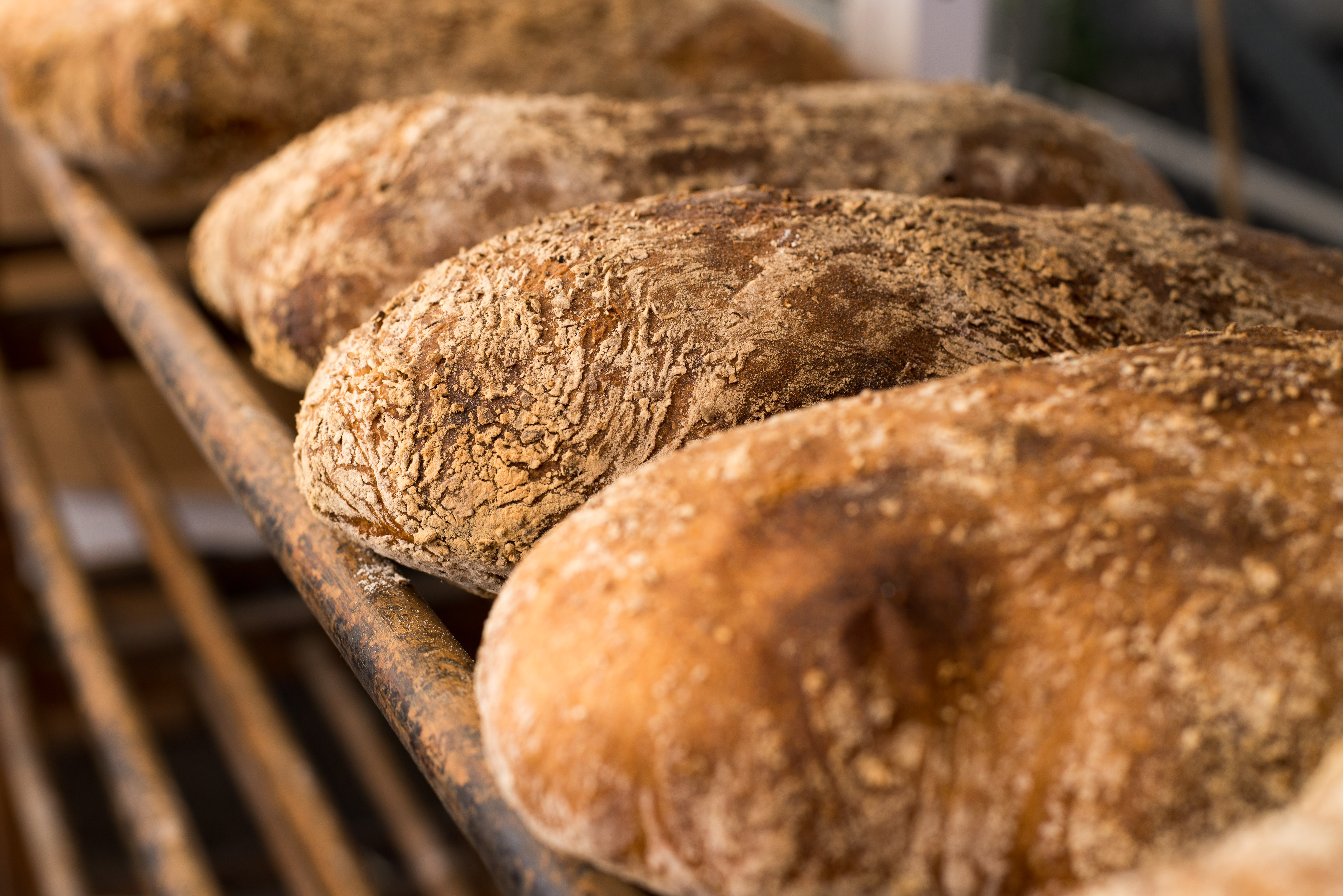 The Maine Artisan Bread Fair - Visit Maine