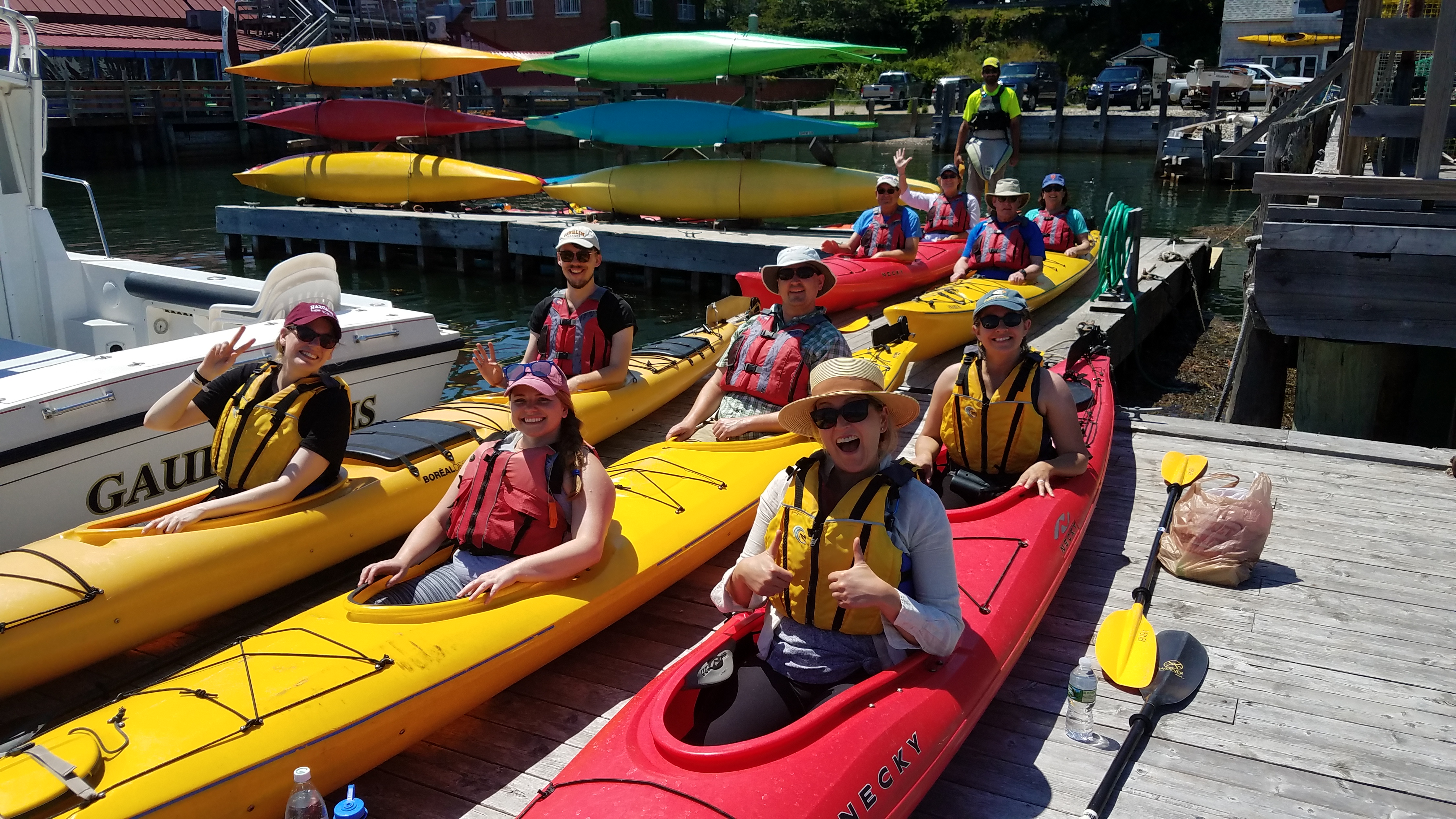 Wedding Adventures: Day Trips and Bioluminescent Night Kayaking ...