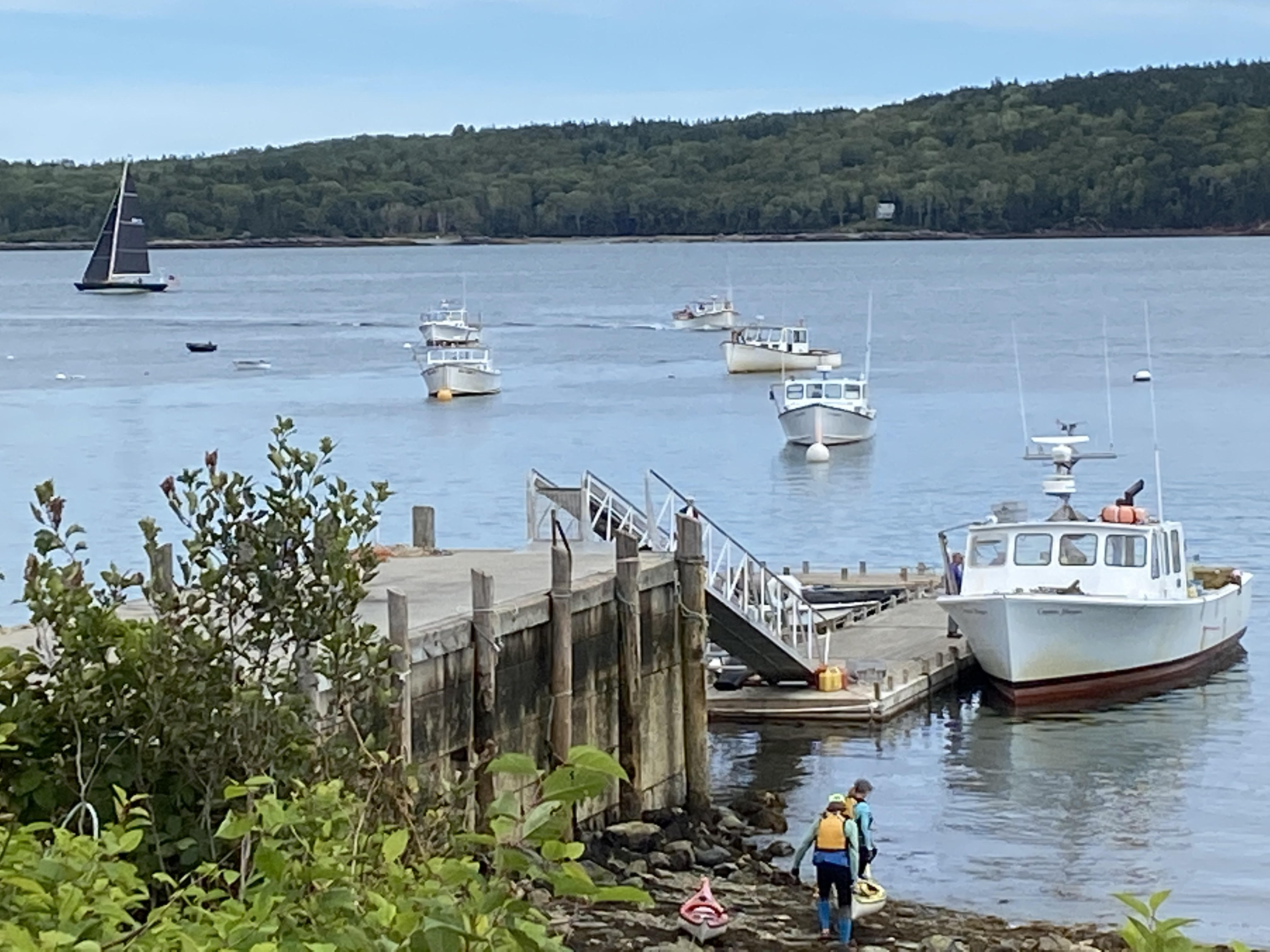 Blue Hill Bay Property Rentals LLC | Visit Maine