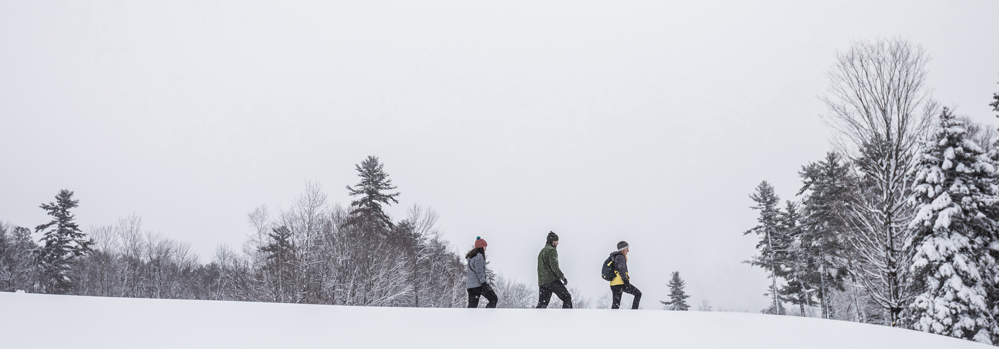 Look Out for ME - Visit Maine