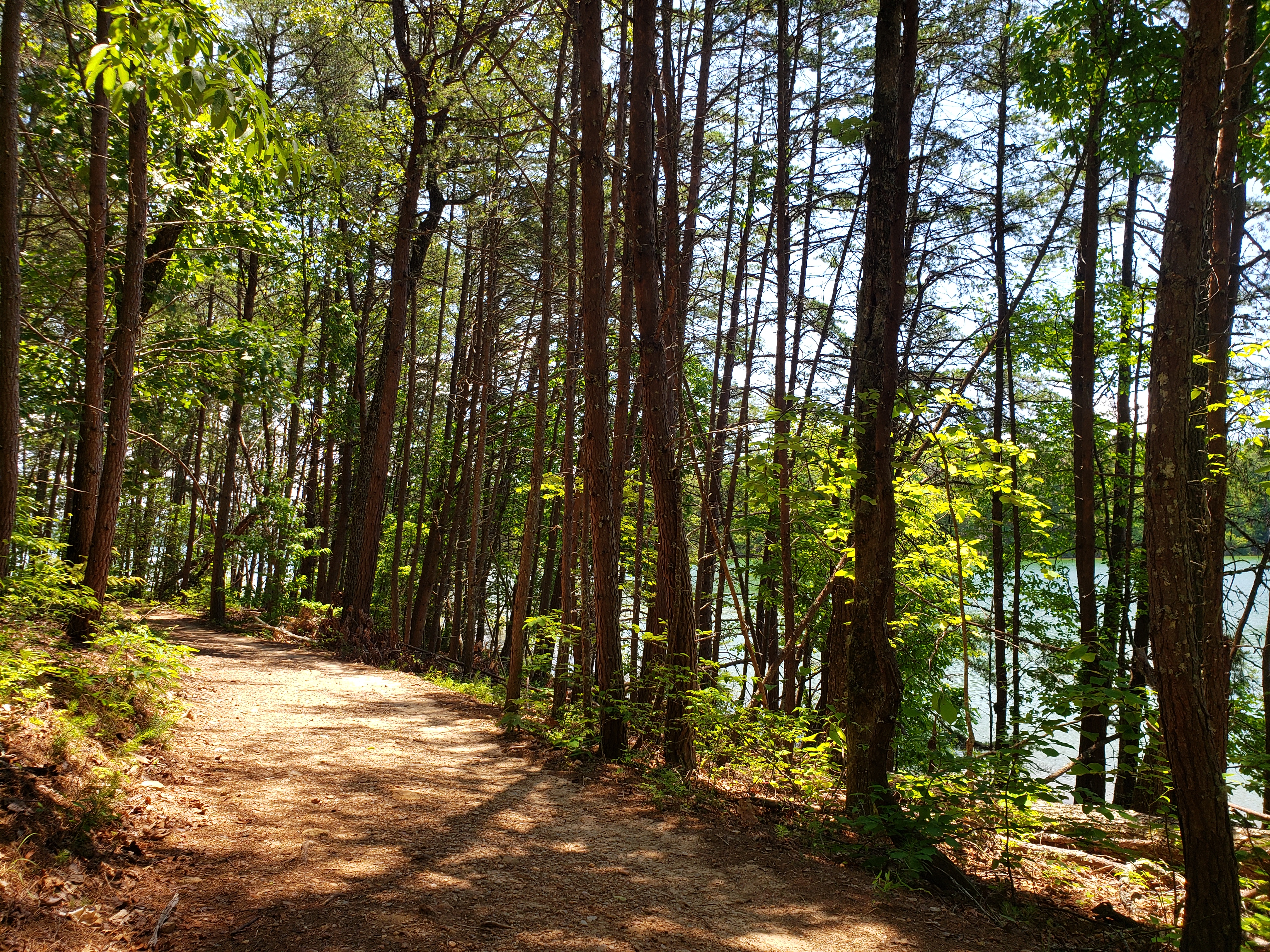 TVA Nottely Dam and Reservoir | Tennessee River Valley