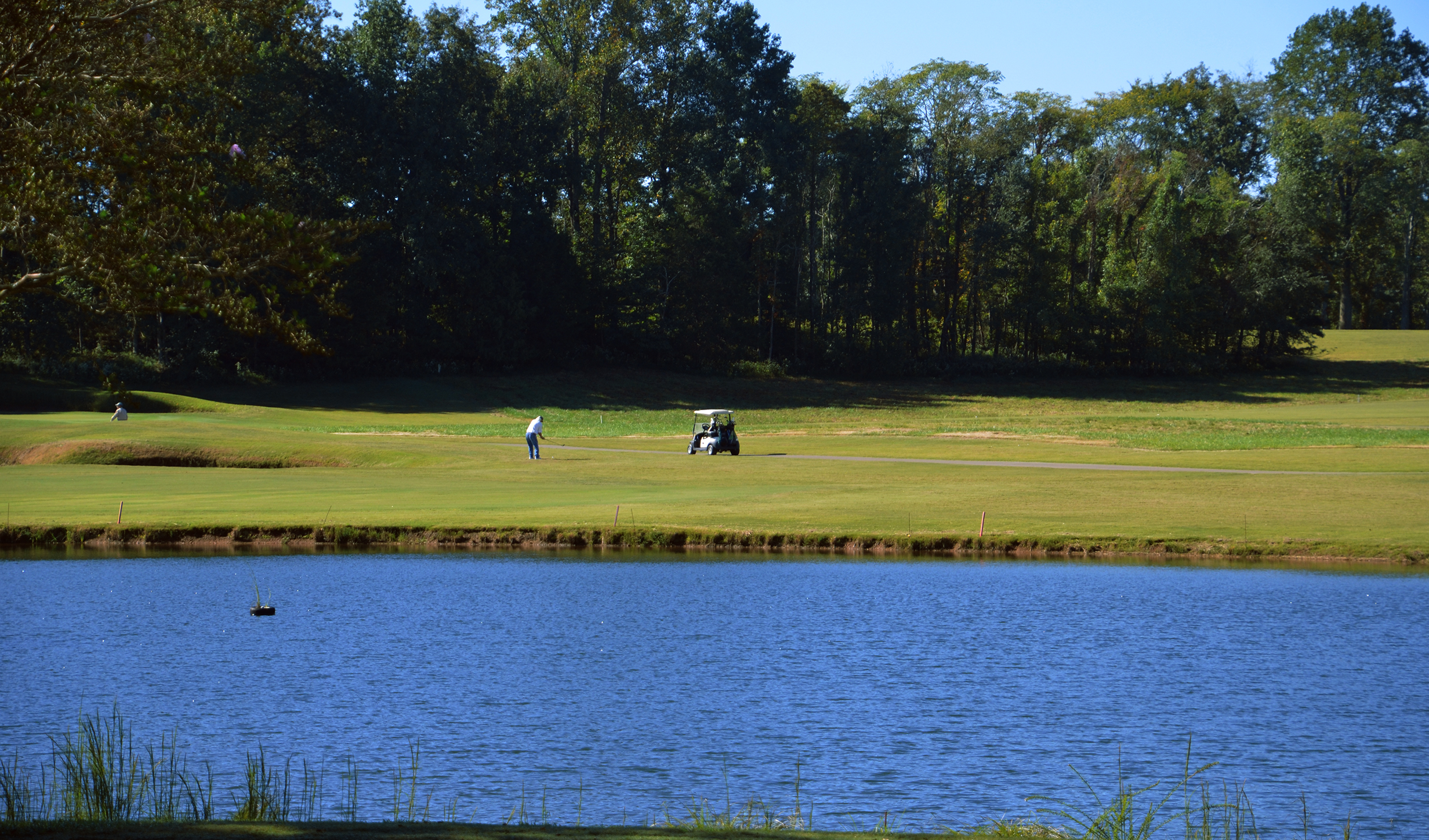 Tim's Ford State Park: Picturesque Park Offers Sportsman Abundant ...