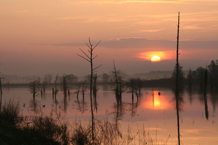 Tennessee National Wildlife Refuge Visitor Center | Tennessee River Valley