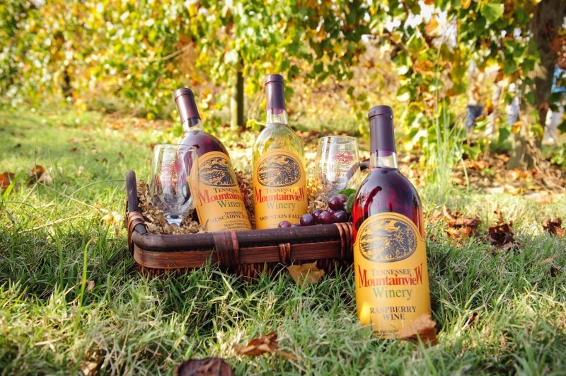 Morris Vineyard & Tennessee Mountainview Winery | Tennessee River Valley