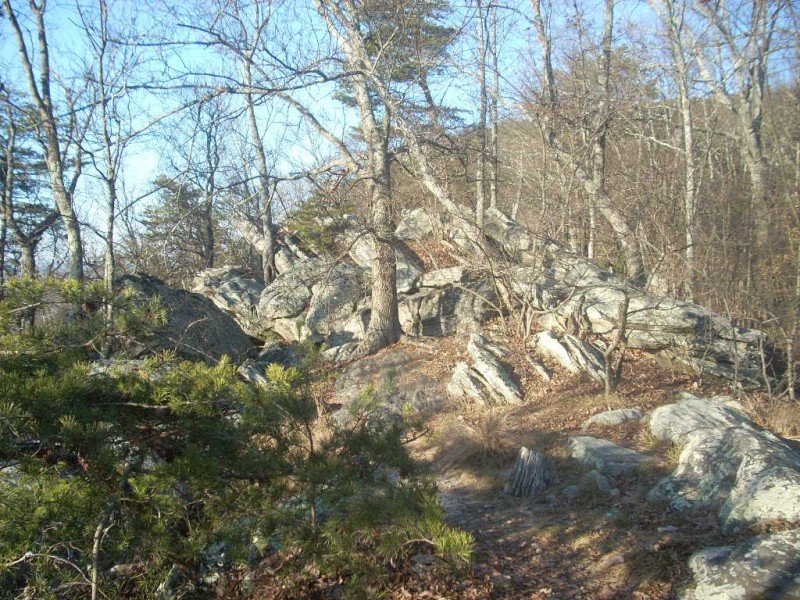 Dug Gap Battle Park | Tennessee River Valley