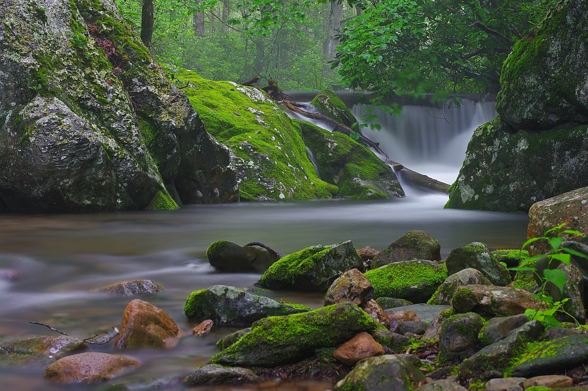 East Region | Tennessee River Valley