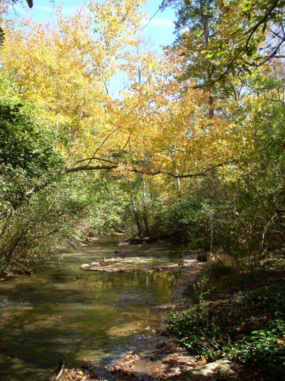 J.P. Coleman State Park | Tennessee River Valley