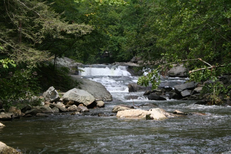 Tellico River | Tennessee River Valley