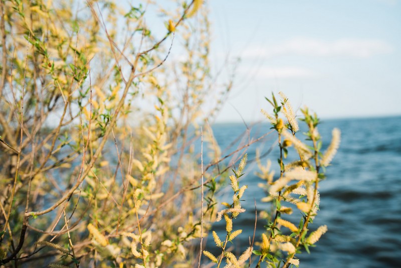 Paris Landing State Park | Tennessee River Valley