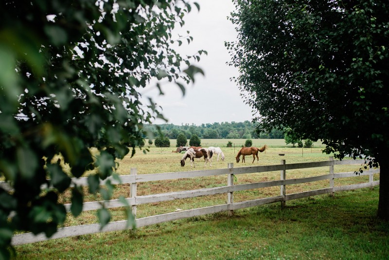 Green River Stables | Tennessee River Valley