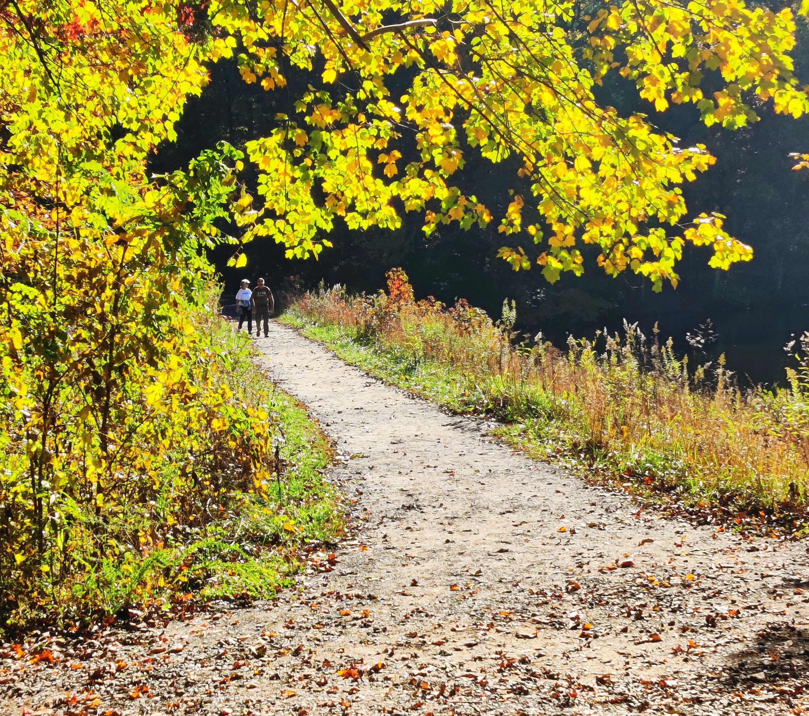 Chilhowee Recreation Area | Tennessee River Valley