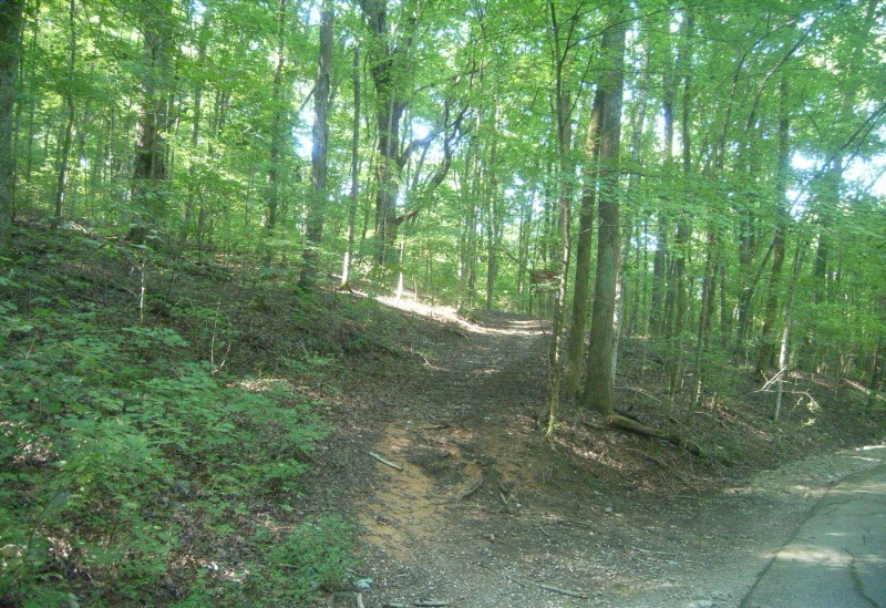 Big Ridge Small Wild Area Trail | Tennessee River Valley