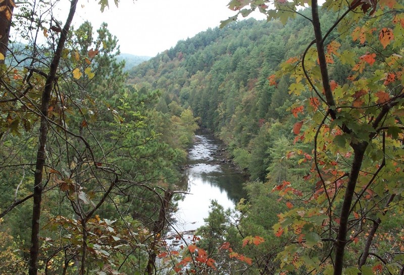 Conasauga River | Tennessee River Valley