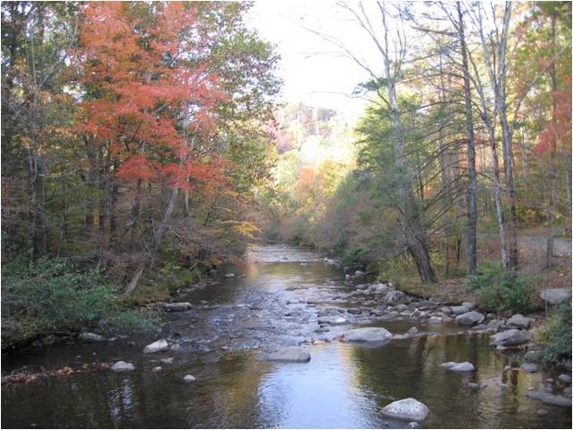 Little River Watershed Association | Tennessee River Valley