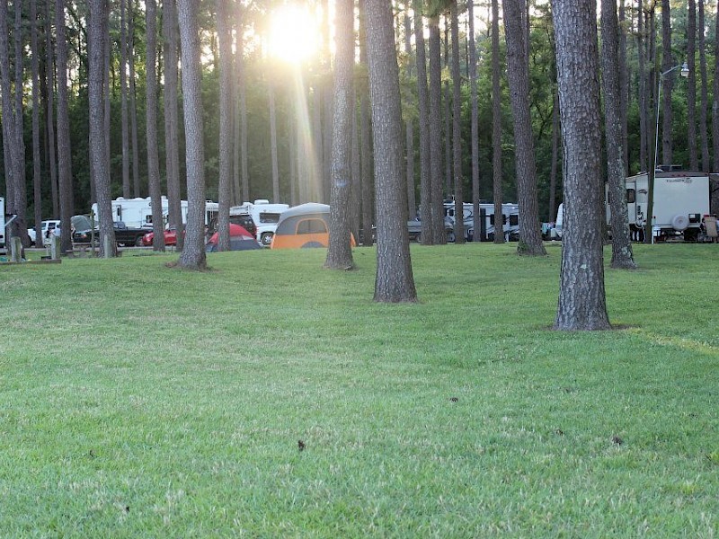 Pickwick Dam Campground | Tennessee River Valley