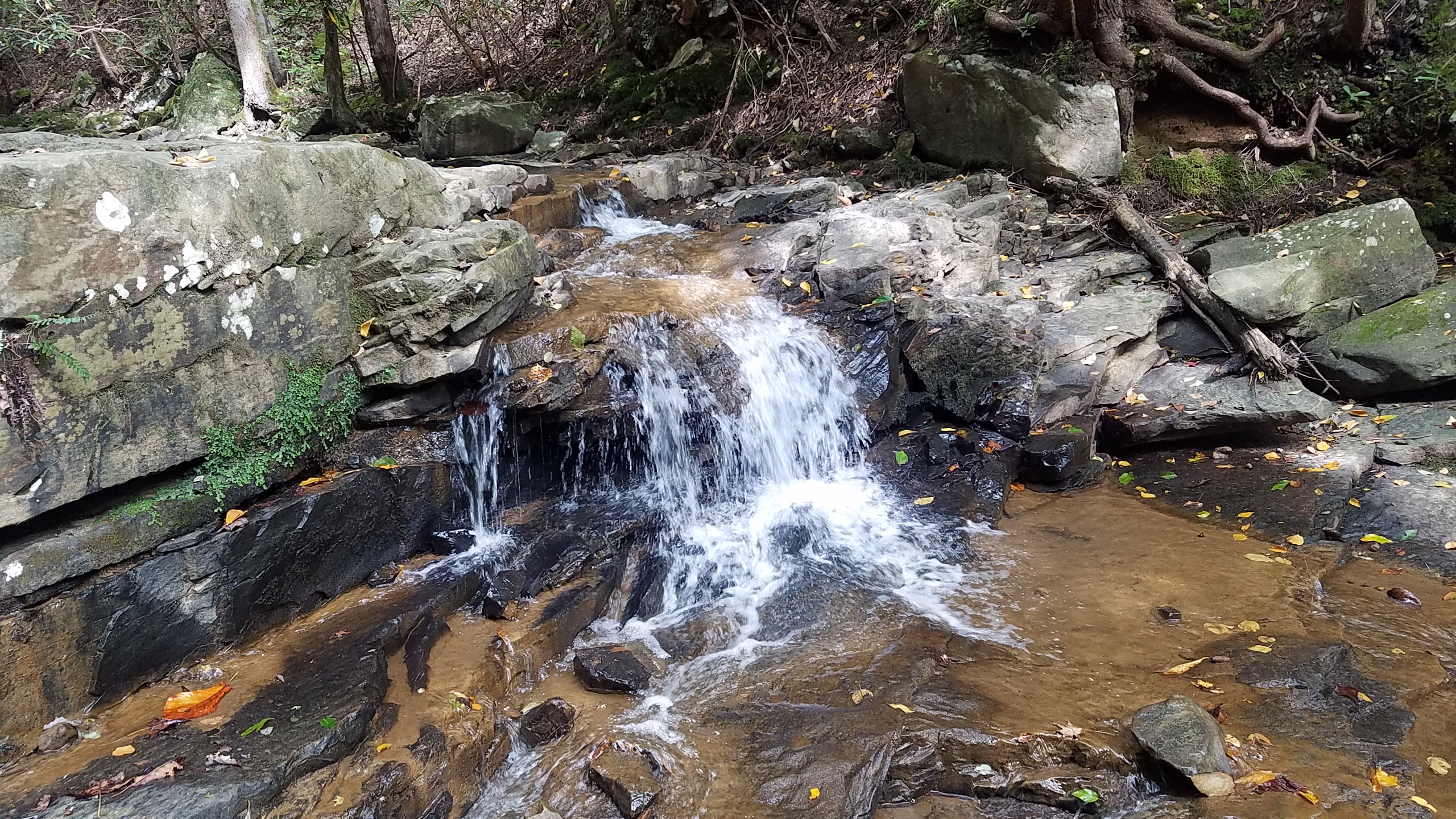 Devil's Racetrack | Tennessee River Valley