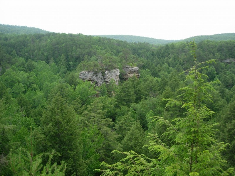 Chimneys State Natural Area | Tennessee River Valley