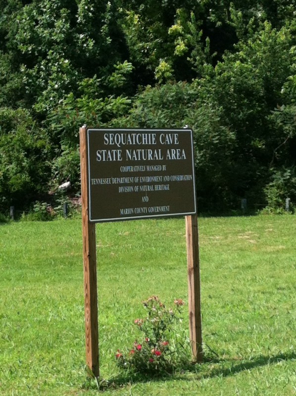 Sequatchie Cave Class II Natural-Scientific State Natural Area ...