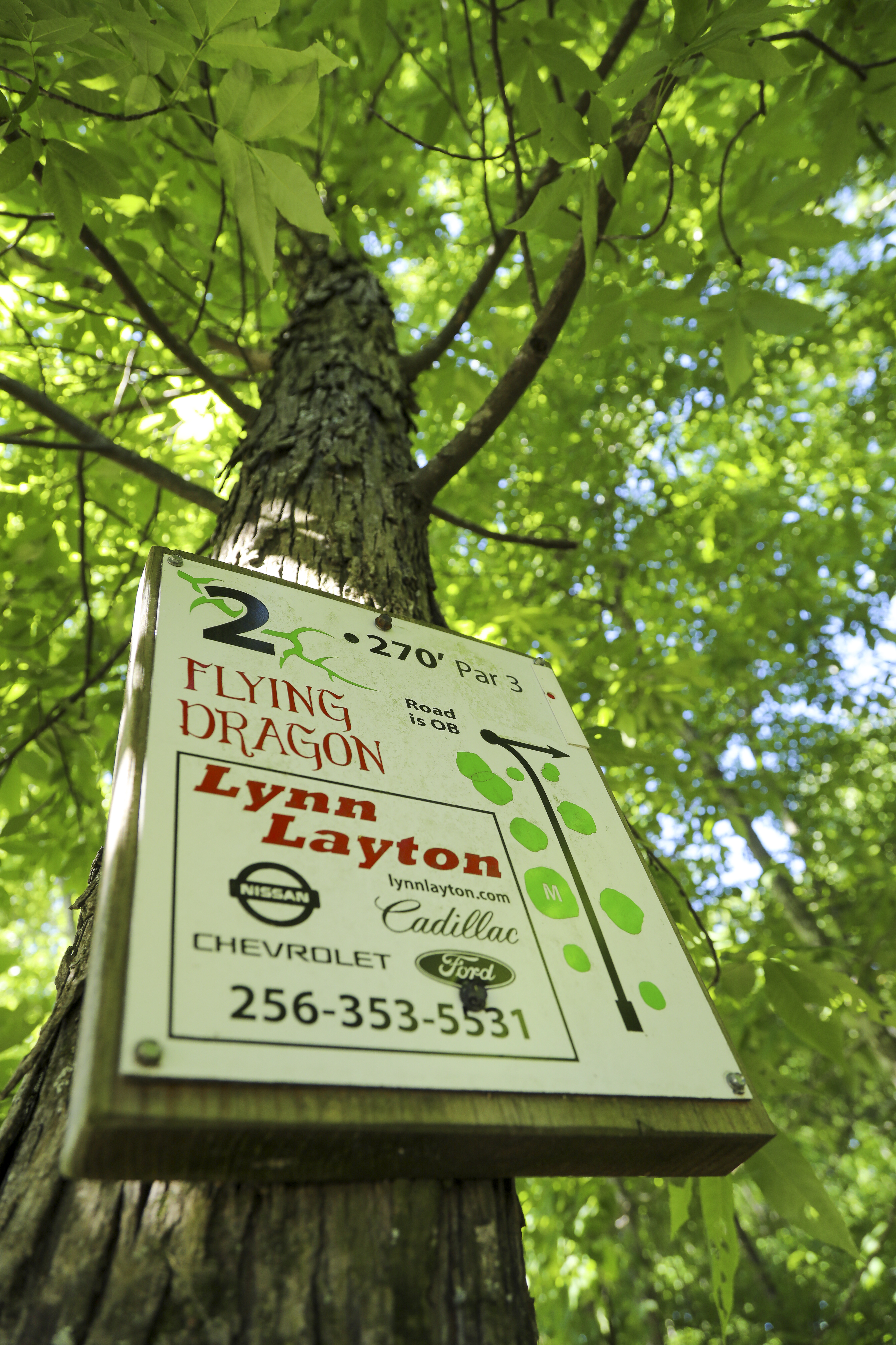 Flying Dragon Disc Golf Course | Tennessee River Valley