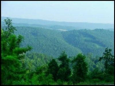 Loyston Point Bike Trails | Tennessee River Valley