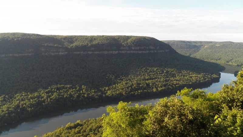 Raccoon mountain store
