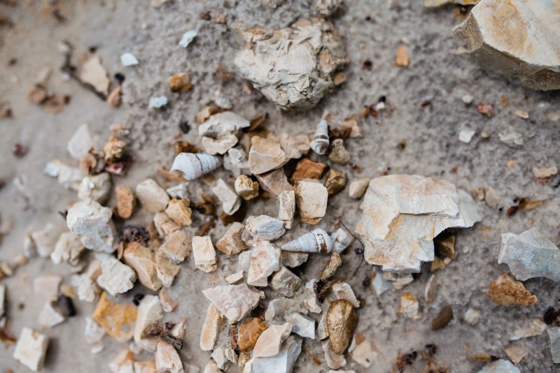 Eva Beach Recreational Area and Eva Archaeological Site | Tennessee ...