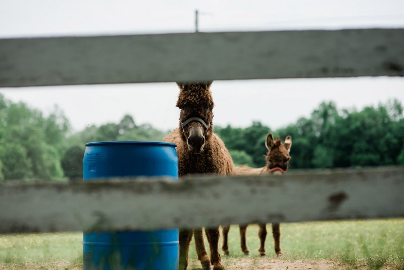 Green River Stables | Tennessee River Valley