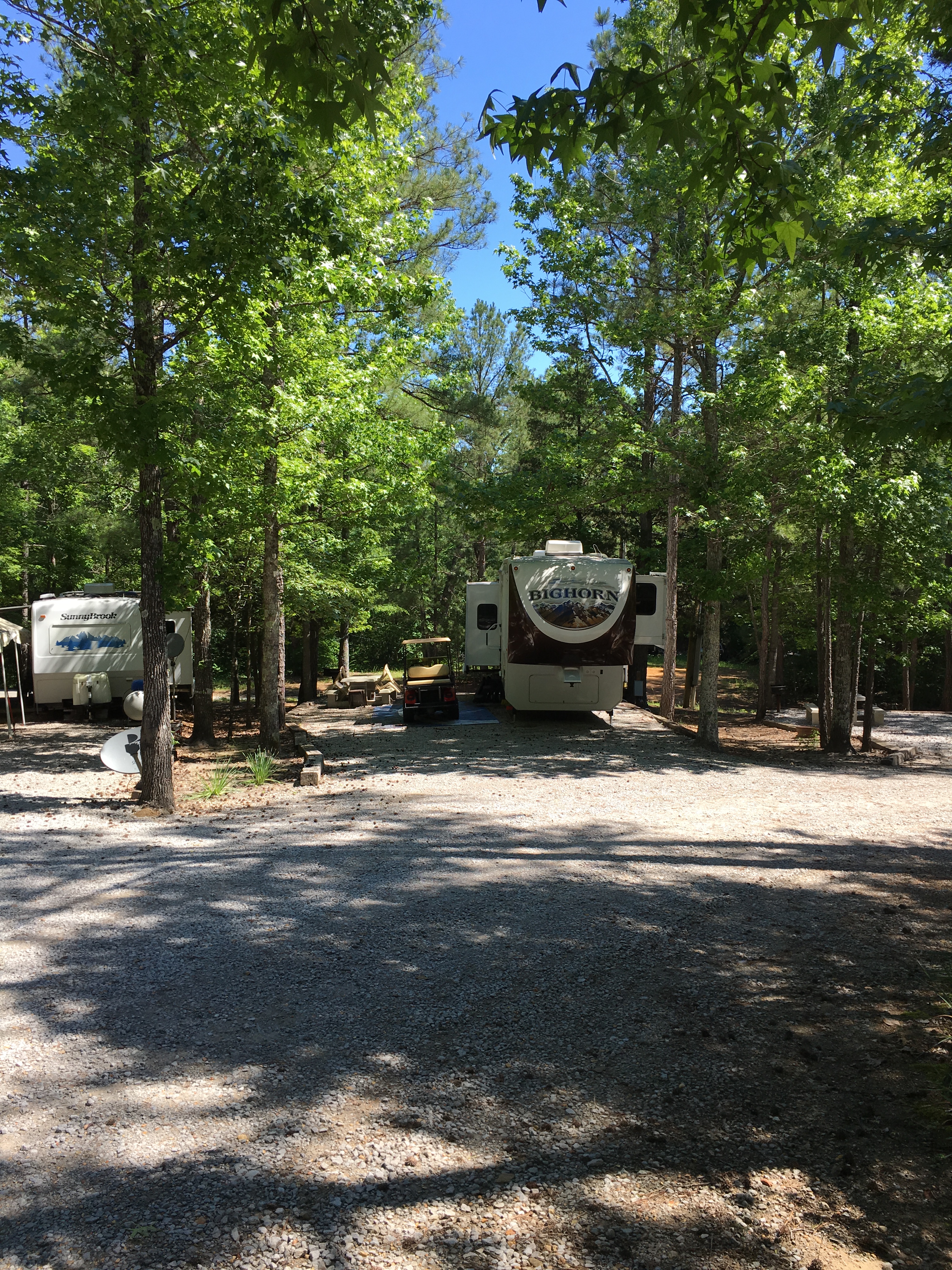 Are Dogs Allowed At Cedar Ridge Campground