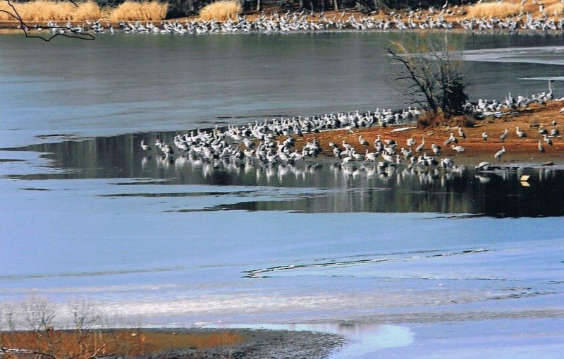 Cherokee Removal Memorial Park at Historic Blythe Ferry | Tennessee ...