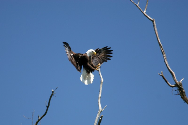 TVA Watts Bar Dam and Reservoir | Tennessee River Valley