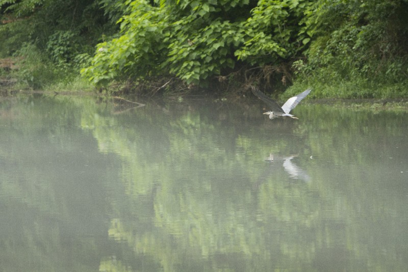 TVA South Holston Dam and Reservoir | Tennessee River Valley
