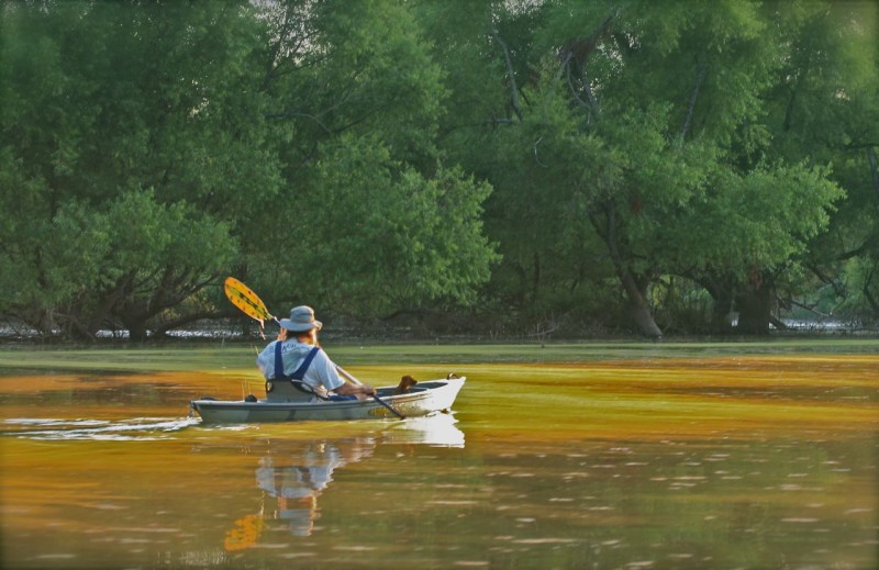 French Broad River - Cocke County | Tennessee River Valley
