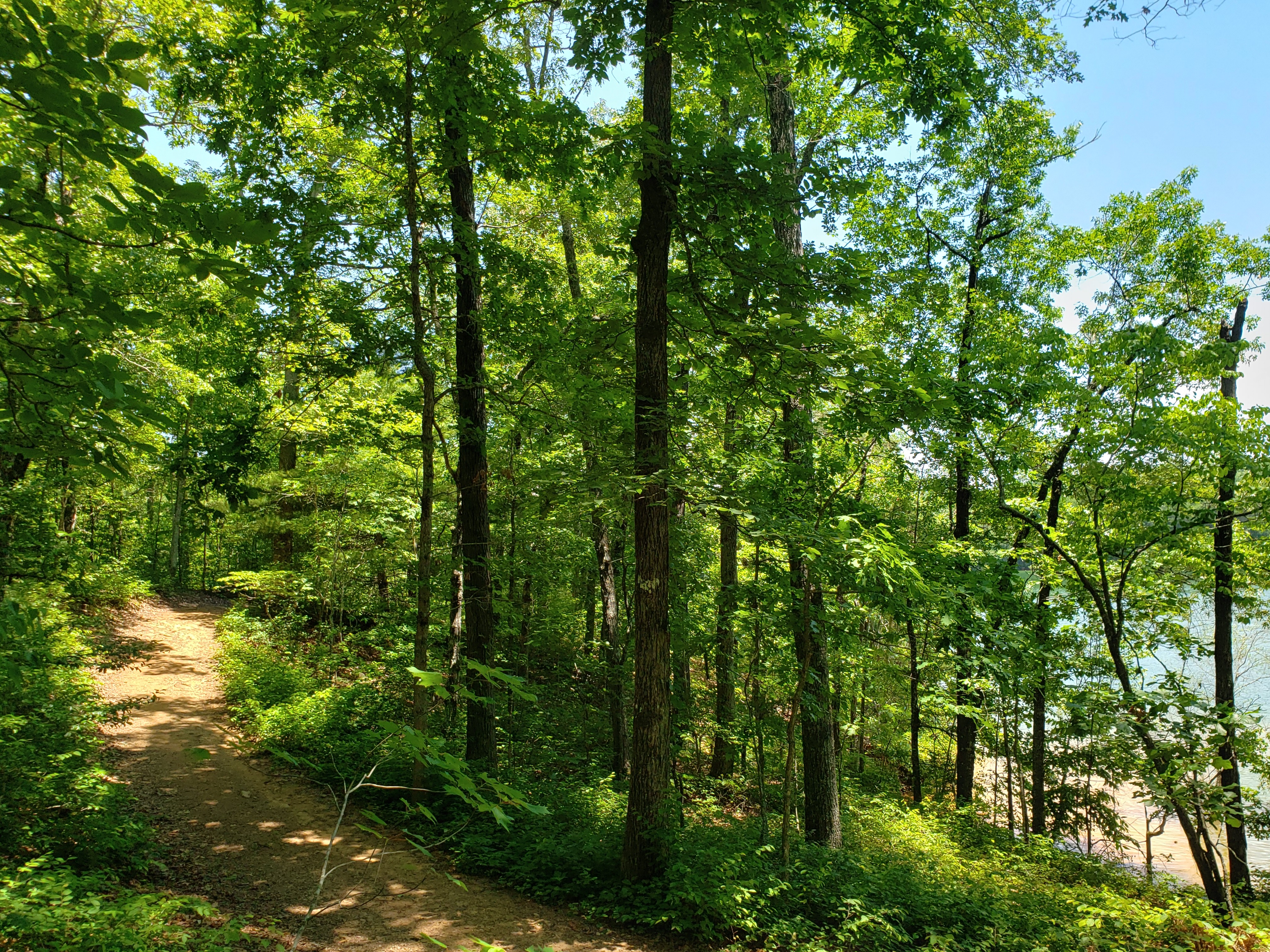 Nottely Dam Trail | Tennessee River Valley