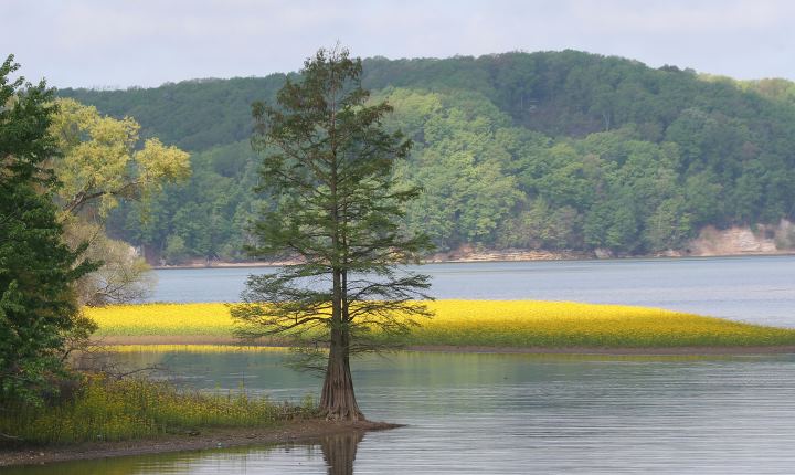 Tennessee National Wildlife Refuge Visitor Center | Tennessee River Valley